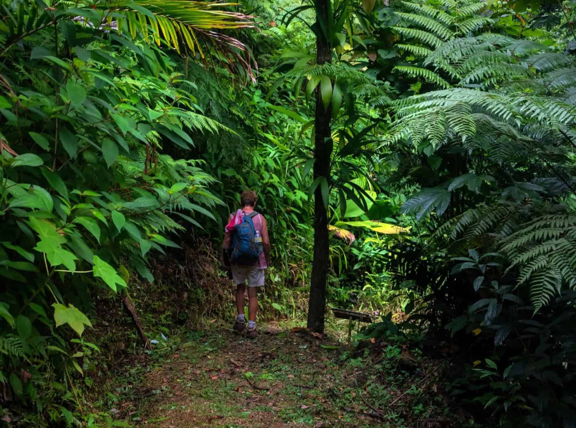 Syndicate Falls Dominica | Riverside Hotel Picard