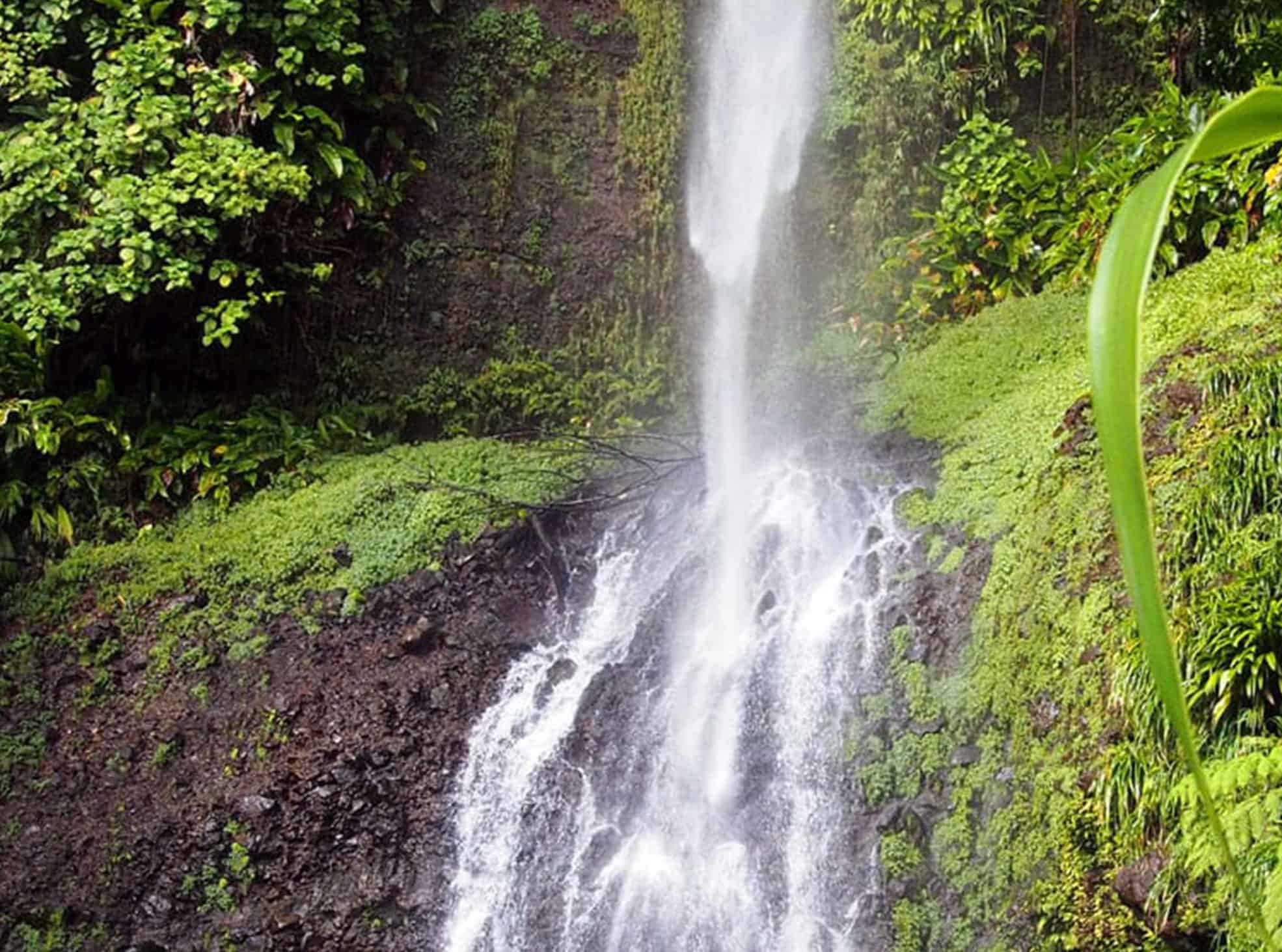 Middleham Falls Dominica | Riverside Hotel Picard