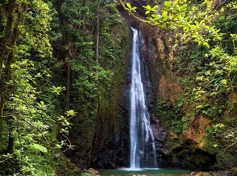 Syndicate Falls Dominica | River Side Hotel Dominica